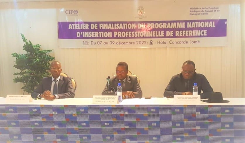 ANPE: des acteurs finalisent le Programme national d'insertion professionnelle de référence - Le ...