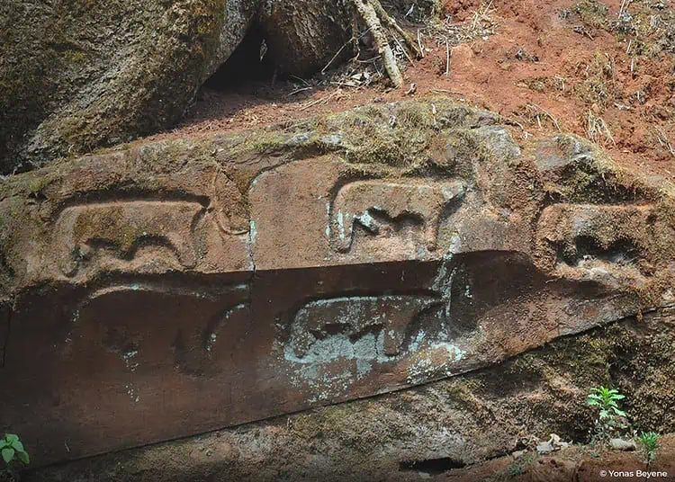 L'UNESCO inscrit le paysage culturel éthiopien Gedeo au patrimoine ...